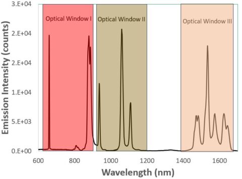 Biological NIR Optical Window - PhosphorTech